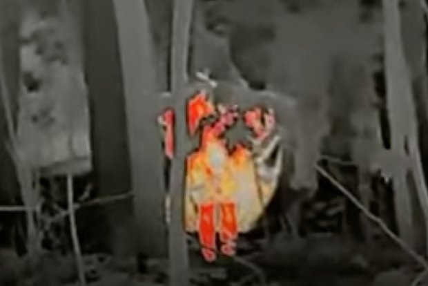 Названо количество «костюмов-невидимок» в зоне СВО - ВПК.name